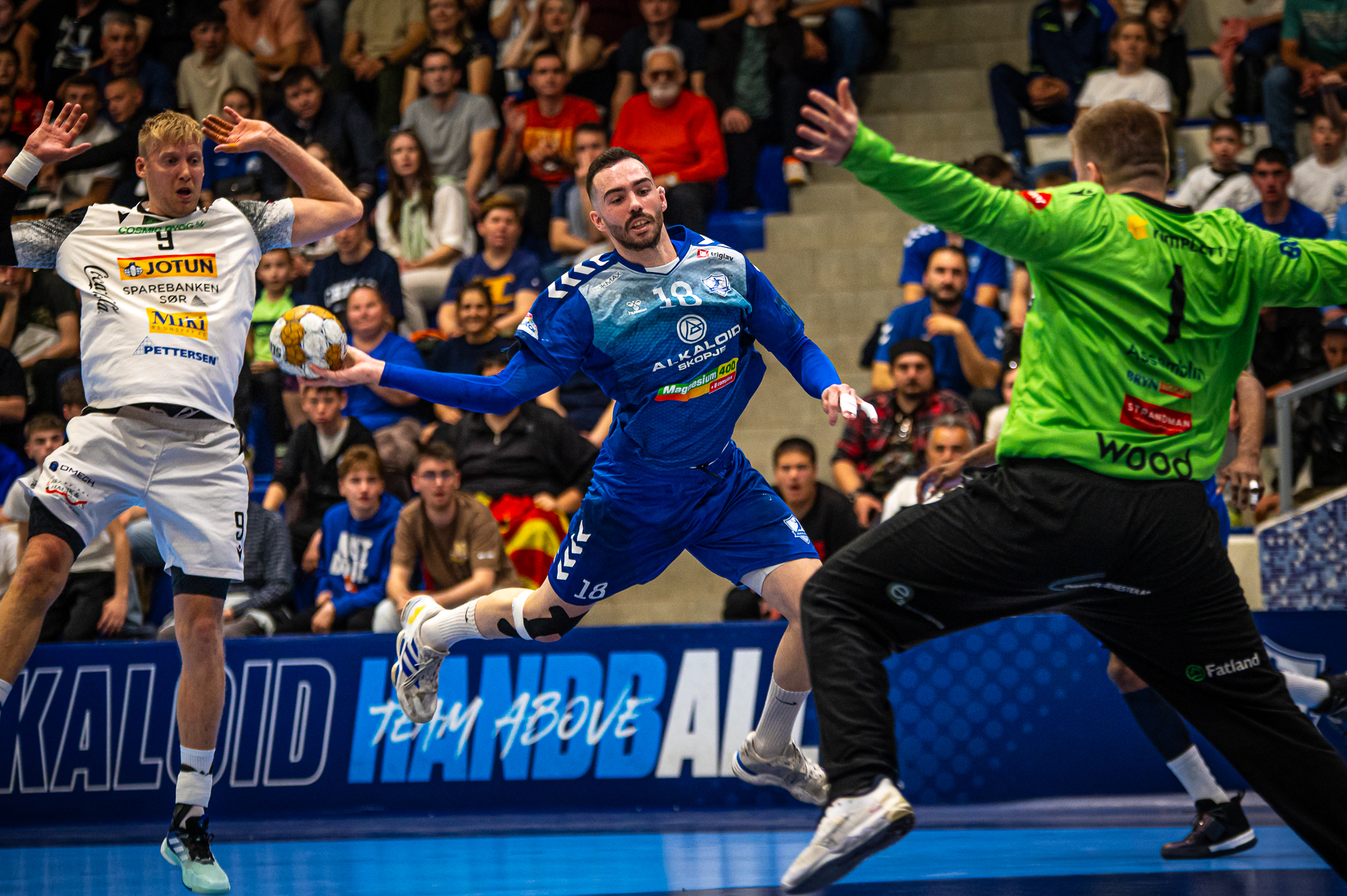 European Handball Federation - Home of Handball | EHF